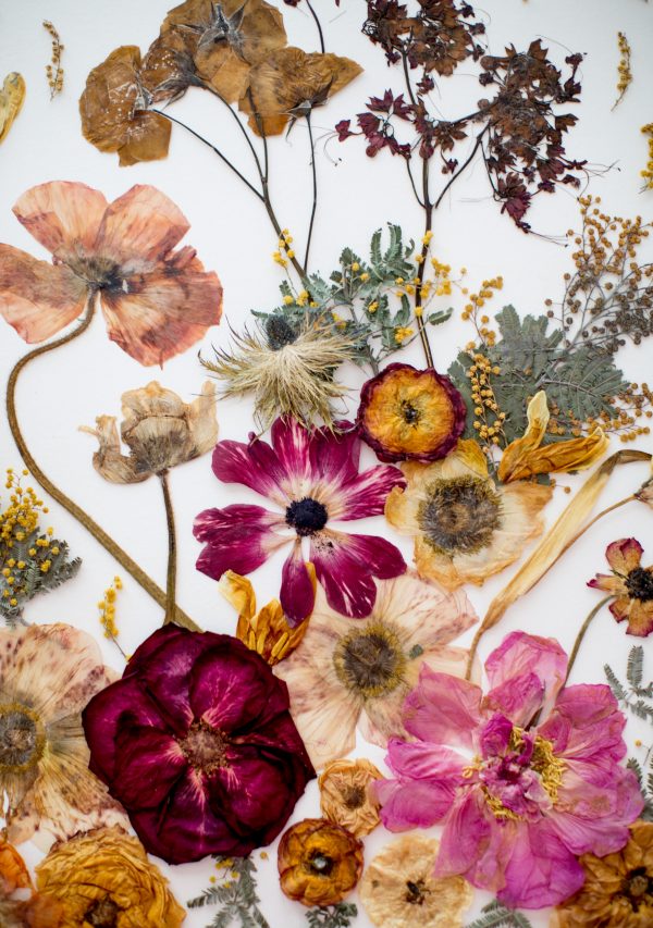 DIY: PRESSED FLOWER ART – Shannon Kirsten Studio
