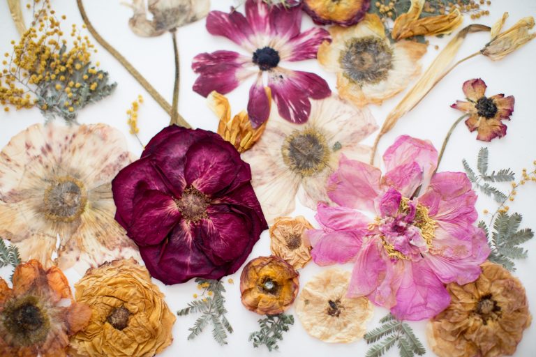 DIY: PRESSED FLOWER ART – Shannon Kirsten Studio