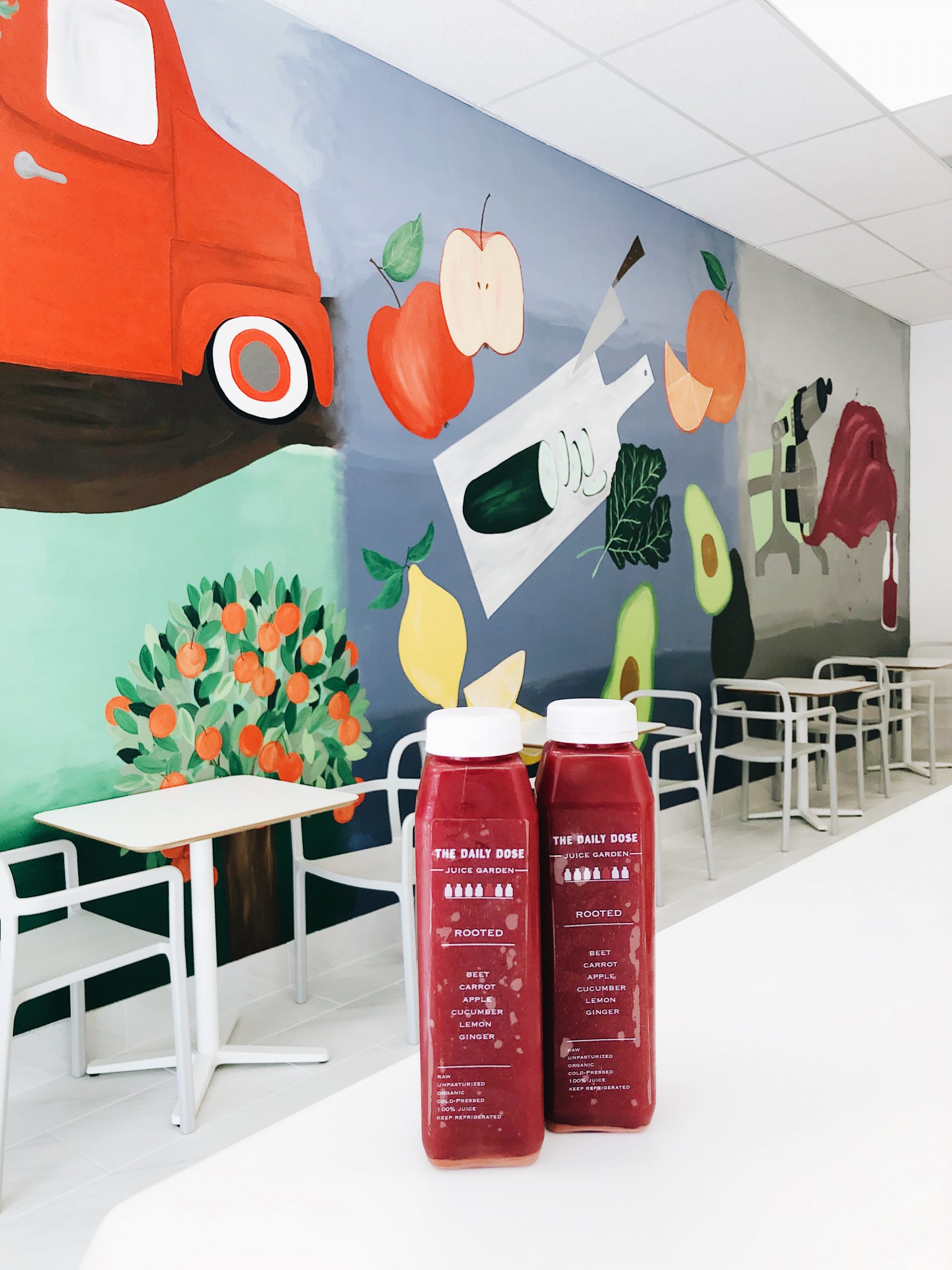 MURAL AT THE DAILY DOSE JUICE GARDEN – Shannon Kirsten Studio