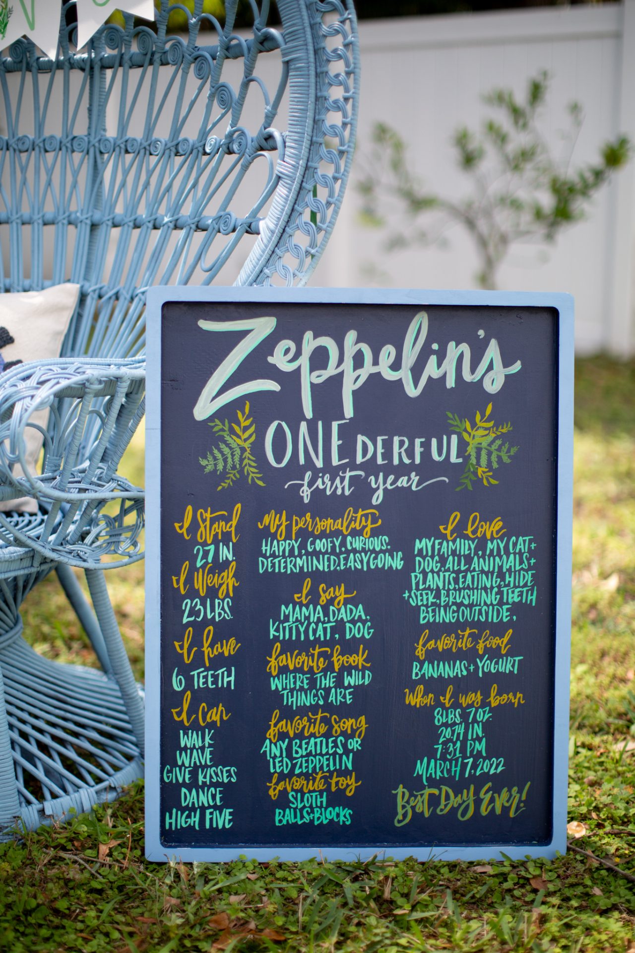 A BUG THEMED FIRST BIRTHDAY – Shannon Kirsten Studio