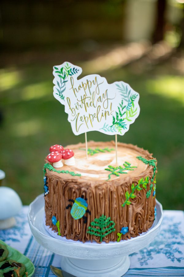 A BUG THEMED FIRST BIRTHDAY – Shannon Kirsten Studio