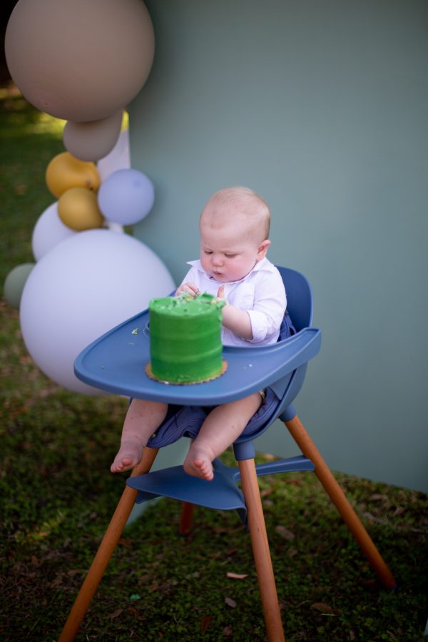 A BUG THEMED FIRST BIRTHDAY – Shannon Kirsten Studio